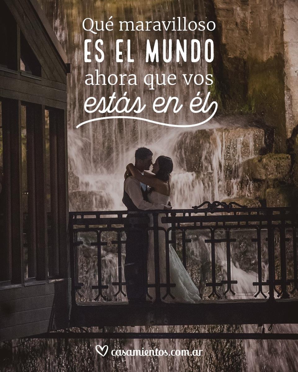 50 Frases Románticas Para Celebrar Su Amor Cada Día