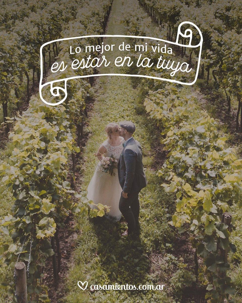 50 Frases Románticas Para Celebrar Su Amor Cada Día